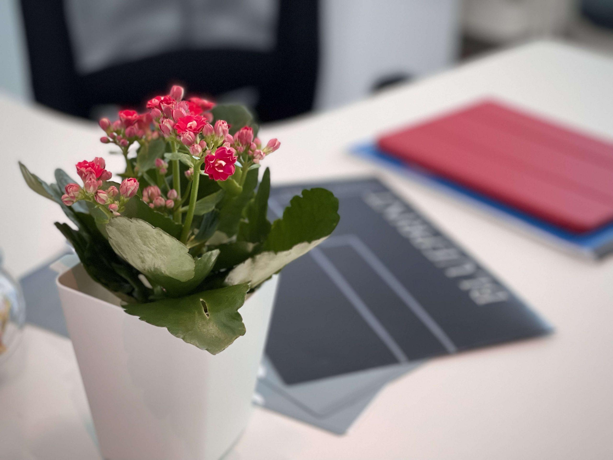 Shek Mun Center | Blueprint